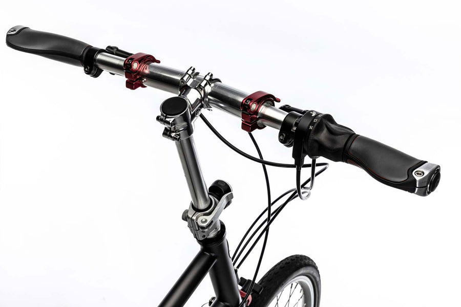 Rohloff Special Edition